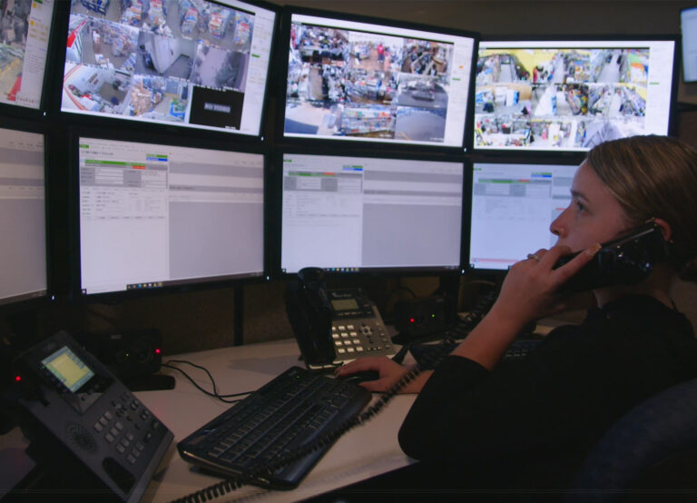 Virtual Security Guard Training